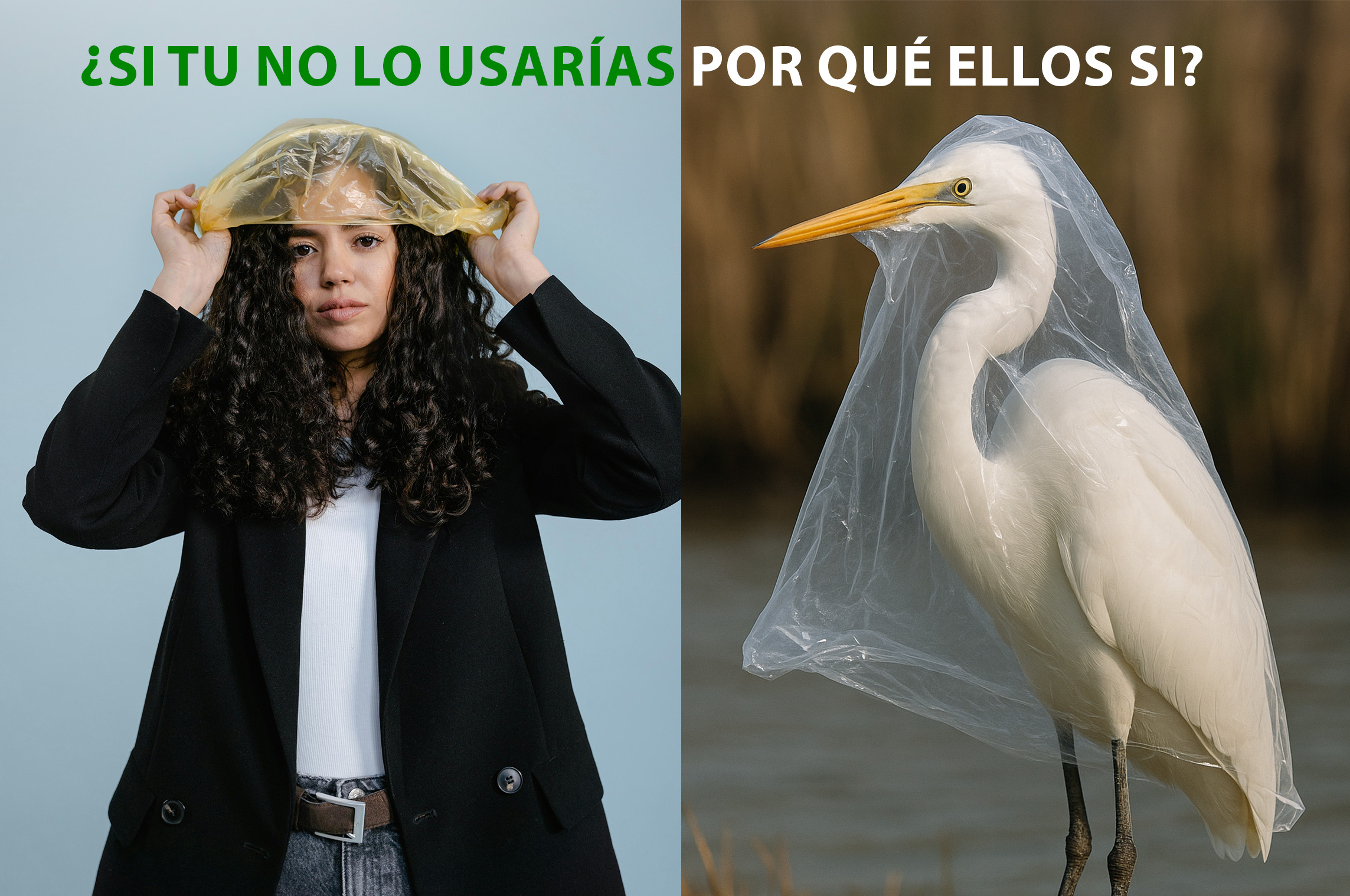 Día libre de fundas plásticas - aresde.org